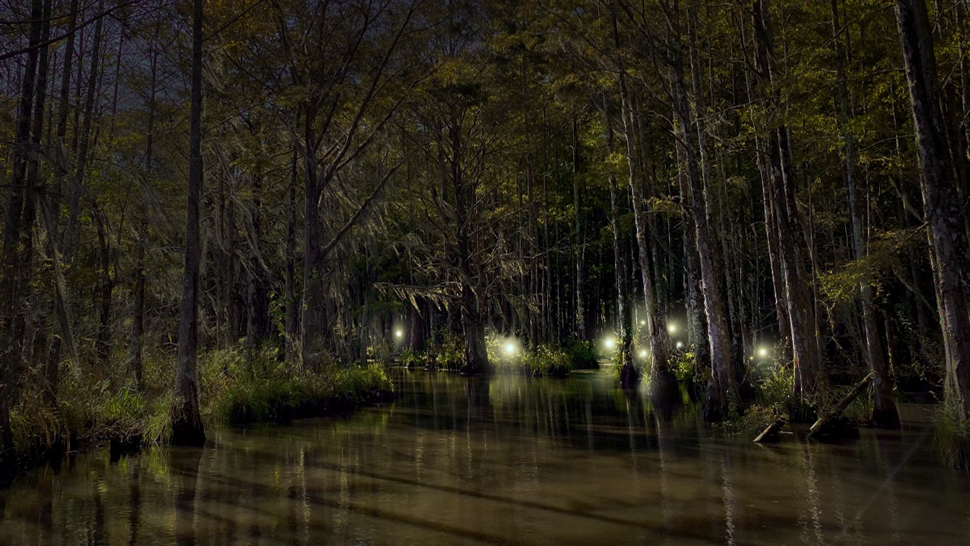 The Mystery Of The Louisiana Feu Follet